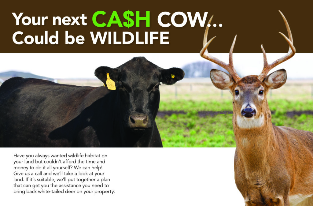 Deer: Ranches/Grazing Lands Ads – National Bobwhite & Grassland Initiative