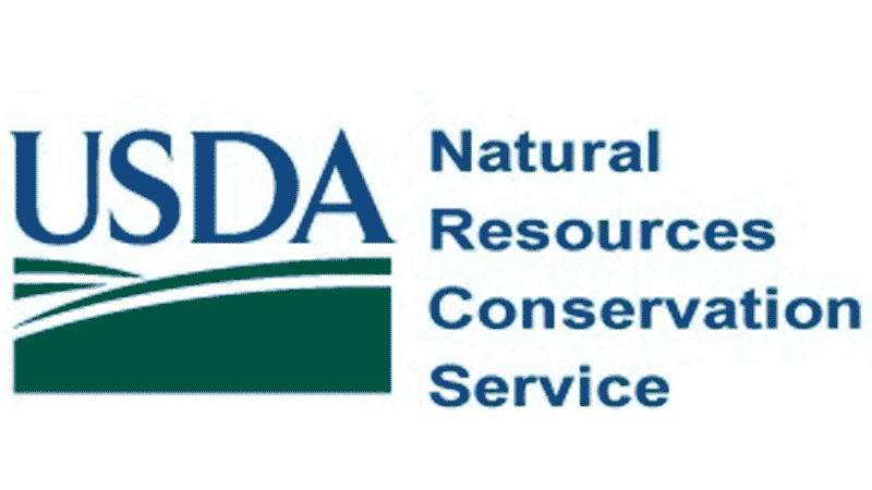 National Bobwhite & Grassland Initiative – NBCI mission: A partnership ...